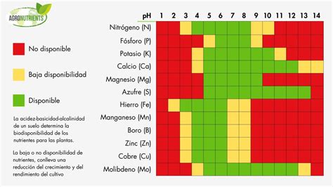 Los Nutrientes En El Crecimiento De Las Plantas Agronutrients