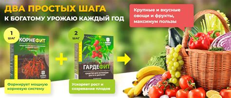 Корнефит и Гардефит цена отзывы применение где купить Официальный сайт