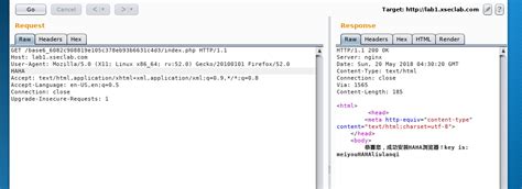 CTF WEB dong 博客园