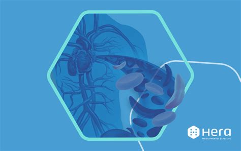 Para Que Serve A Eritropoetina Blog Hera Medicamentos