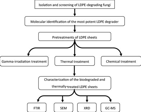 Schematic Diagram Of The Research Framework Download Scientific Diagram