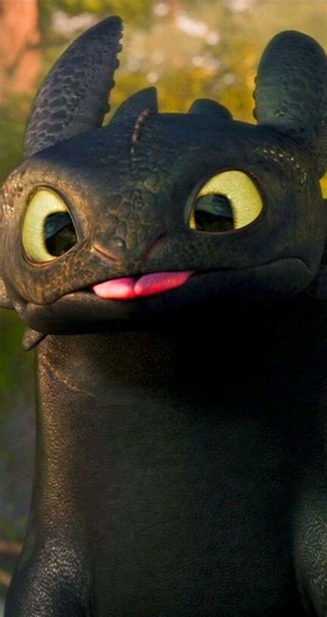 Pin De ꪻꫝꫀ ᦔꫀꪜ꠸ꪶ En Httyd Fotos De Chimuelo Dragones Dragones