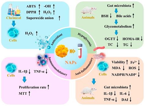Purification Structural Characteristics Bioactive Properties And