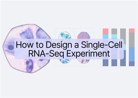 singlecell bioinformatics nygen analytics