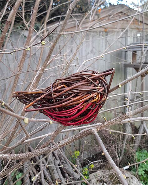 Willow Robin Workshop