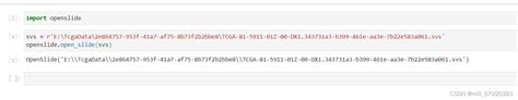 Openslide安装成功记录（windows10 Python38）openslide Python Csdn博客