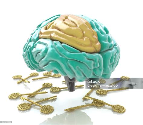 지적 문제와 관련된 정보의 디자인에 인간의 두뇌와 열쇠 3d 일러스트레이션 3차원 형태에 대한 스톡 사진 및 기타 이미지 3차원 형태 감정 개념 Istock