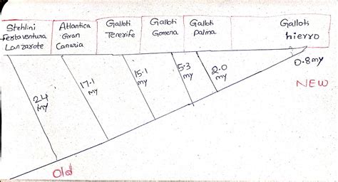 [solved] Part 1 And Part Ii Phylogeny 1 You Should Draw Your