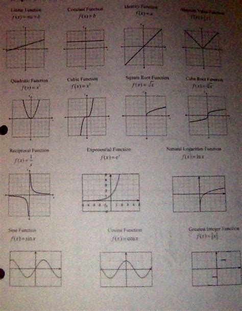 Basic Functions Graphs