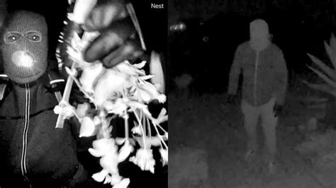 Nancy Guthrie Disappearance Day 31 Latest Updates Fox 2 Detroit