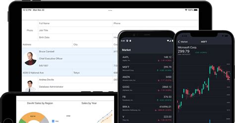 Devexpress Net Maui 2226