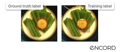 The Annotator Training Module And How To Use It Encord