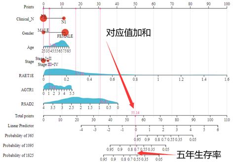 列线图绘制？ 知乎