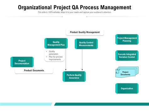 Organizational Project Qa Process Management Presentation Graphics