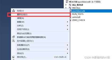 Pyorbbecsdk奥比中光python版本sdk在windows下环境配置笔记 Csdn博客