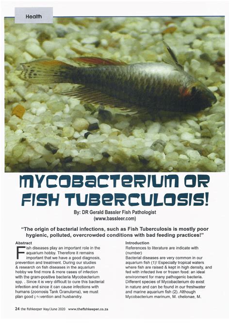 Pdf Mycobacterium Or Fish Tuberculosis In Ornamental Aquarium Fish