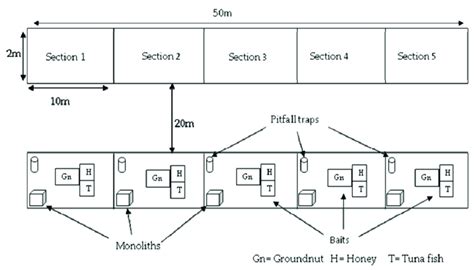 schema of transect with different sampling methods download