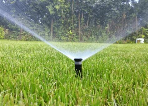 Can You Overwater Your Lawn Signs Of Overwatered Grass