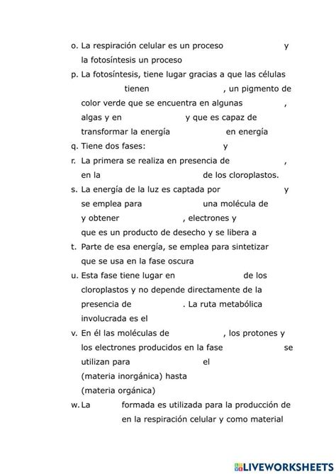 Repaso Respiración Celular Y Fotosíntesis Worksheet Live Worksheets
