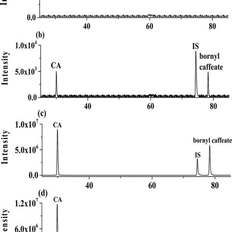Proposed Metabolic Pathway And Metabolites Of Bornyl Caffeate