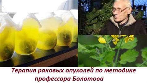 Лечение чистотелом по болотову – Чистотел, полезные свойства и ...