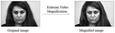 facial micro expression recognition using double stream 3d