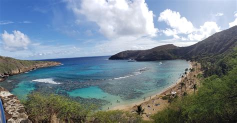 How The Fsbpt Competency Study Impacts Physical Therapy Practice