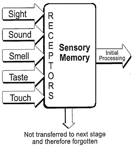 Information Processing Model