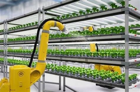 Can A I Automate Vertical Farming By Michael Spencer