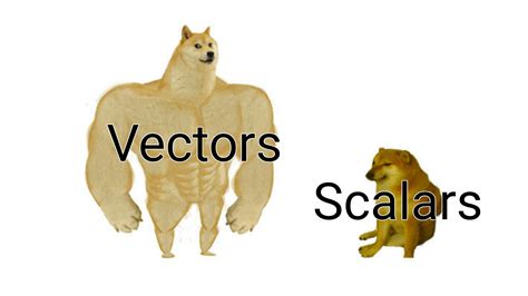 Kinematics Really Be A Bruh Moment Rmemes