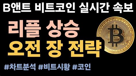 비트코인실시간 423 비트코인 9700만원 리플 7 상승 온톨로지 시바이누 세이 네오 상승 비트코인실시간