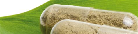 Dmsa Microtrace Minerals
