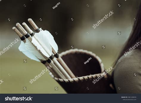 6 363 Arrows Quiver Images Stock Photos Vectors Shutterstock