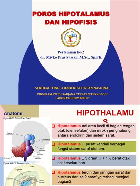 Poros Hipotalamus Dan Hipofisis Pdf