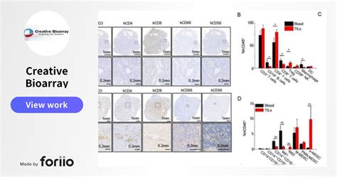 Pdx Based Drug Screening Creative Bioarray