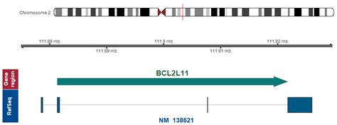 Bcl2l11 Jcga