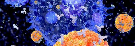 Expediting Biologics Drug Development Downstream Strategies To