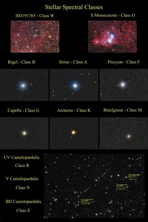 Carla Antonella Gatti On Linkedin Examples Of Stellar Spectral Classes Photographer Greg
