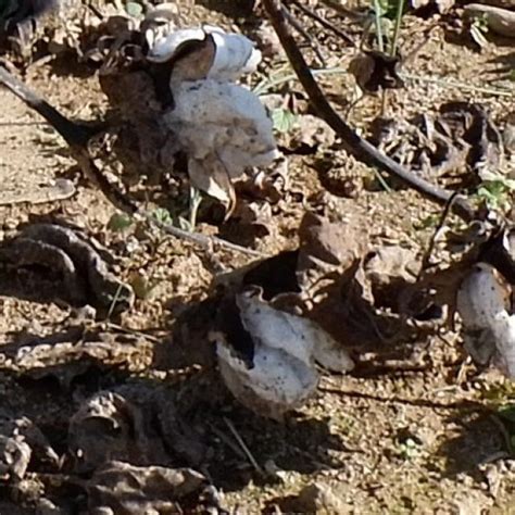 Project 1 Instance Segmentation Dataset By Project