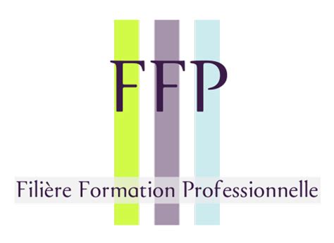 Validation Du Bafa Pour Le Groupe Pee Ffp Conseil