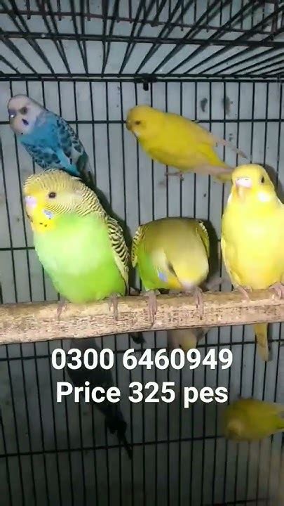 Red Eys And Black Eys Youtube