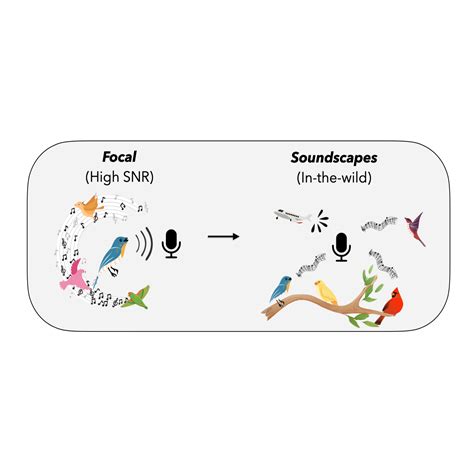 In Search Of A Generalizable Method For Source Free Domain Adaptation
