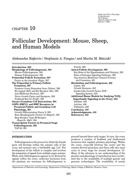 Desarrollo Folicular En Raton Oveja Y Human Models Pdf Ovary Biology