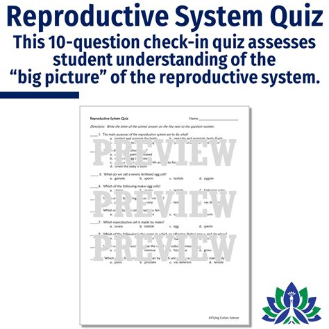 Reproductive System Notes And Quiz Flying Colors Science