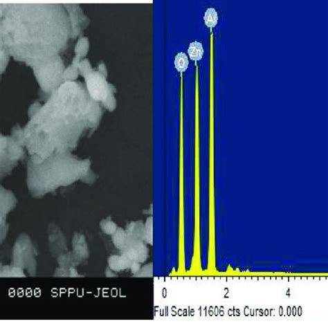 Sem Image With Edax Of Znal 2 O 4 Download Scientific Diagram