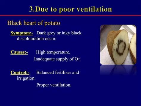 Physiological Disorder Of Vegetable Crops Pptx