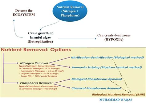 Muhammad Waqas On Linkedin Nitrification And Denitrification With Wwtp
