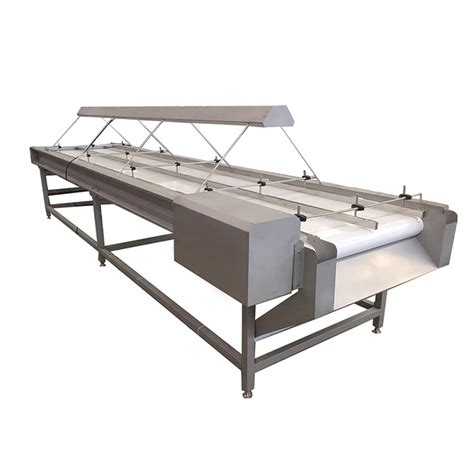 Inspection Tables For Vegetables And Fruits Industrail Preparation