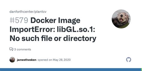 Docker Image ImportError LibGL So No Such File Or Directory Issue Danforthcenter