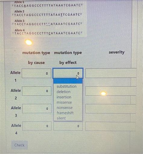 Solved Below Are The Wild Type Sequence Of A Gene As Well